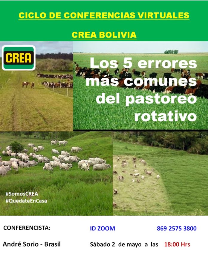 Los 5 errores más comunes del pastoreo rotativo - Agroeventos Los 5 errores más comunes del pastoreo rotativo - Agroeventos